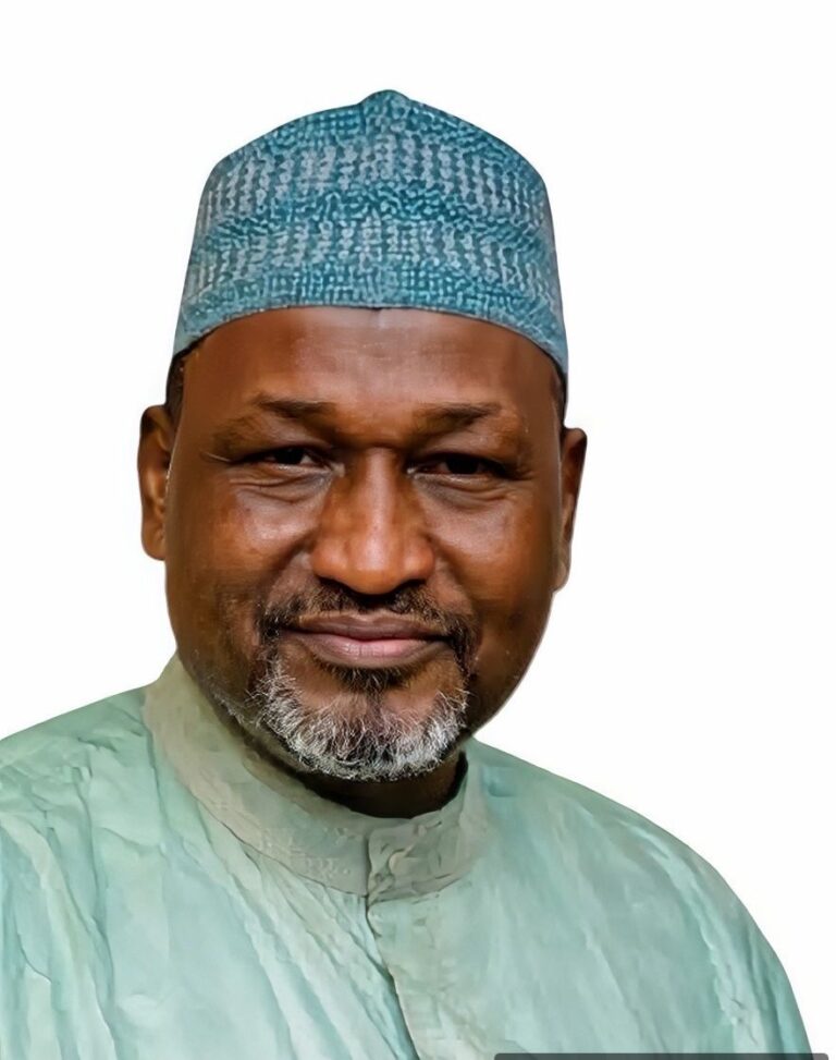 Governor Radda Extols Tinubu as Four Katsina Sons Clinch Federal ...